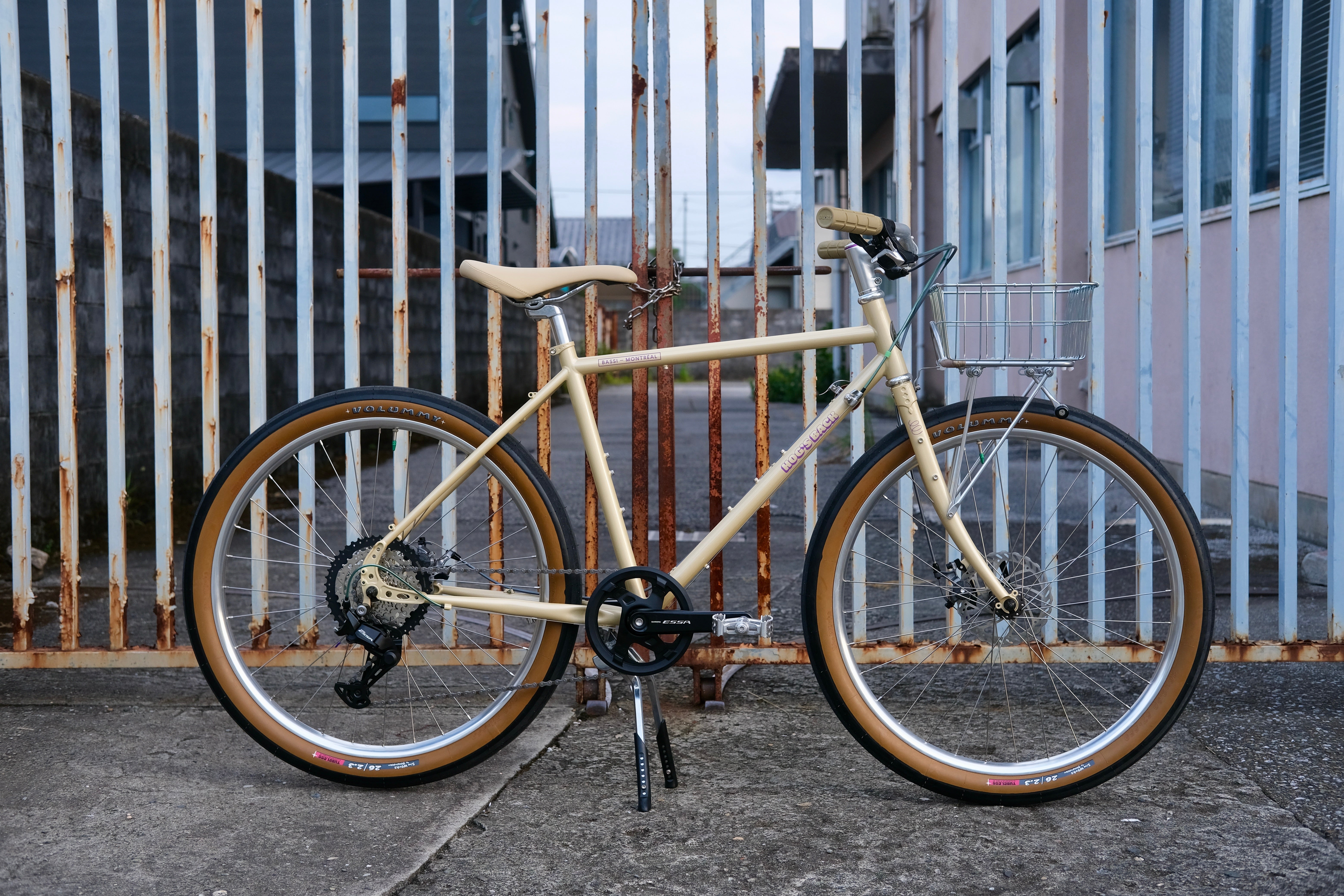 STYLE SAMPLE #008 BASSI BIKES HOG'S BACK Anywhere Cruiser – OYOT cyclery
